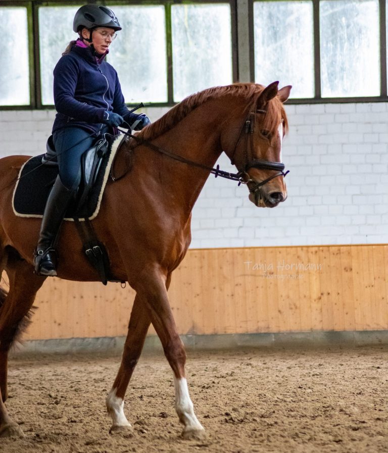 Leistungen – Silke Hoffmann