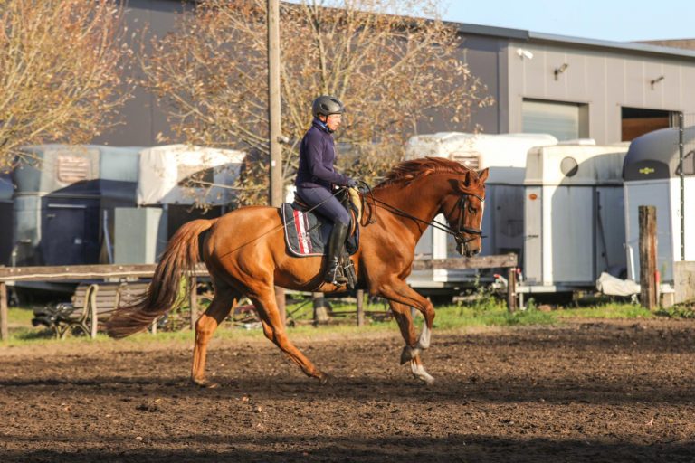 Leistungen – Silke Hoffmann
